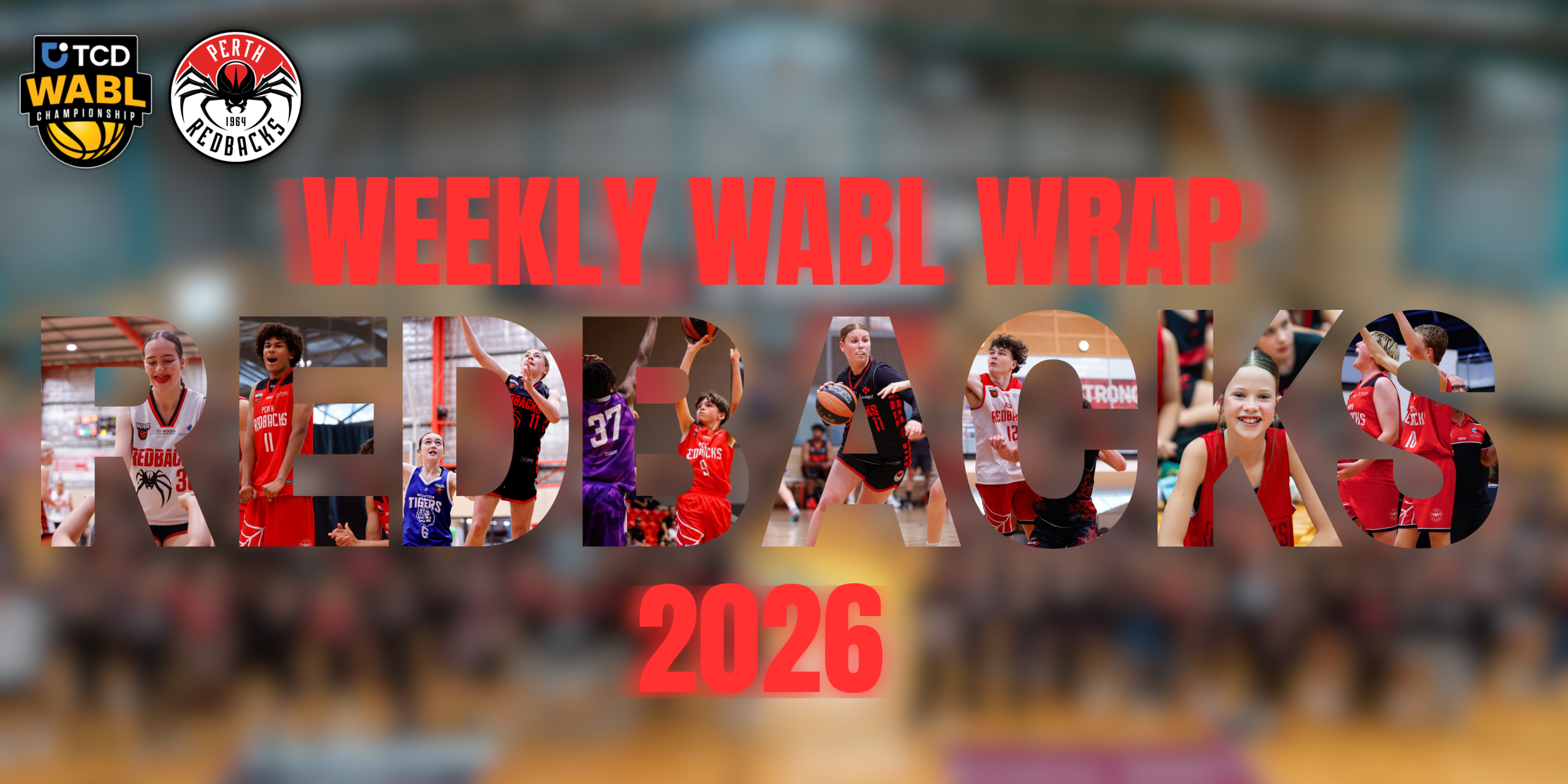 Weekly WABL Wrap – Round 5 – 24 May 2026 | Perth Basketball Association